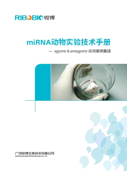 miRNA agomir | 锐博生物